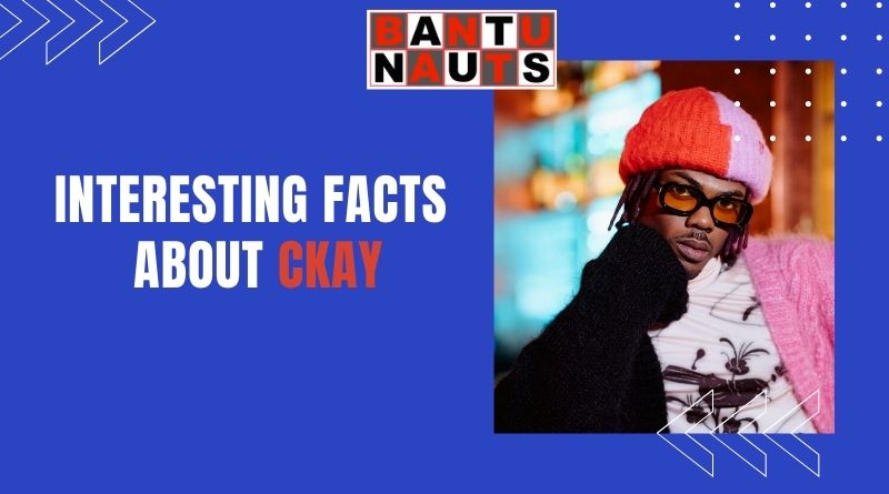 15 Captivating Facts About CKay - Bantunauts